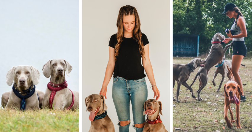 Cordy.dog je značka, za ktorou sa skrýva veľa práce a tvorivý talent ...